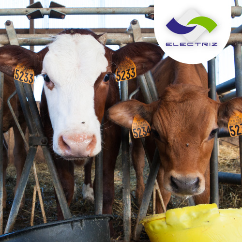 Soluciones para Establos